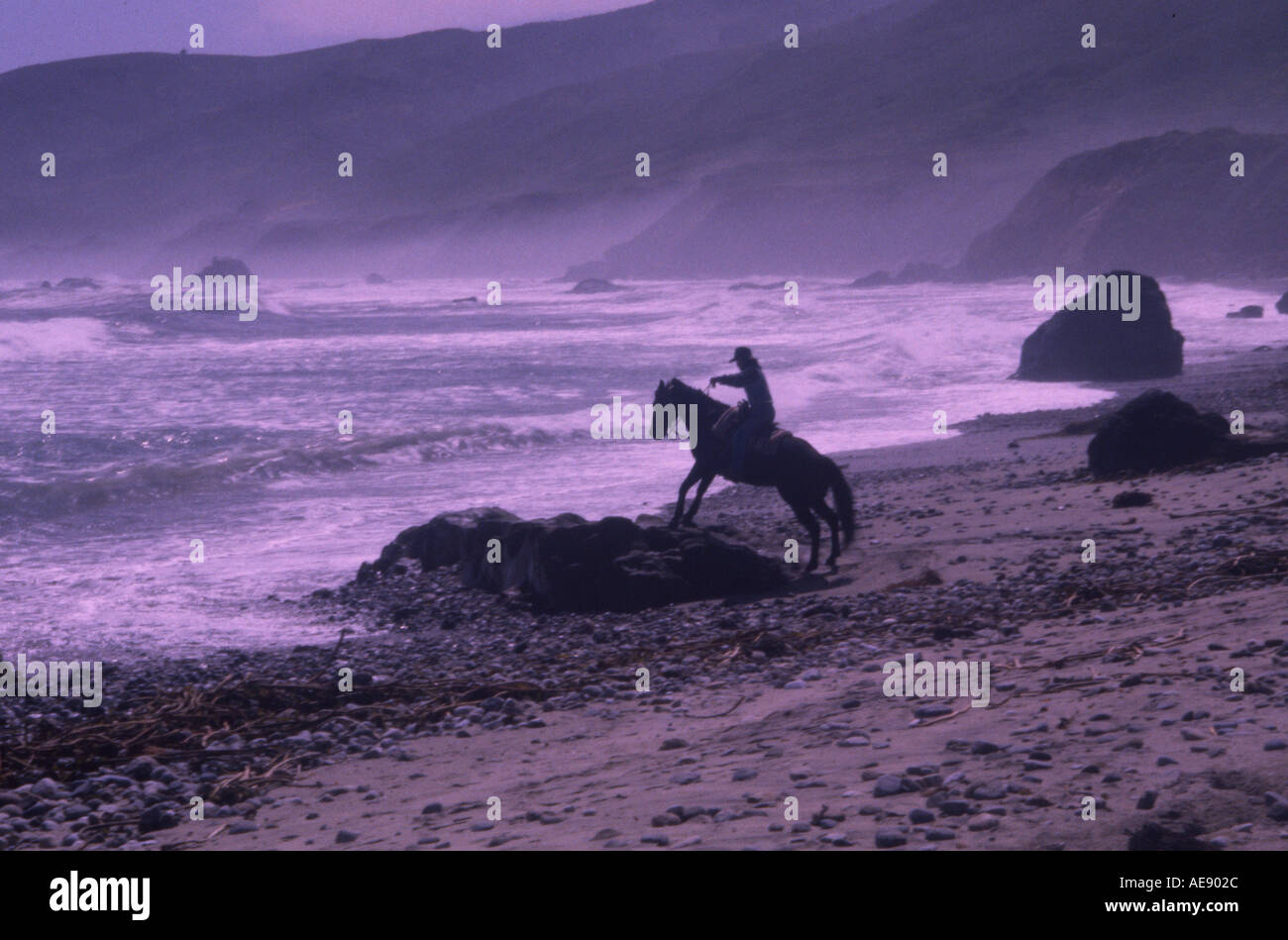 Horse and rider on a beach Stock Photo - Alamy
