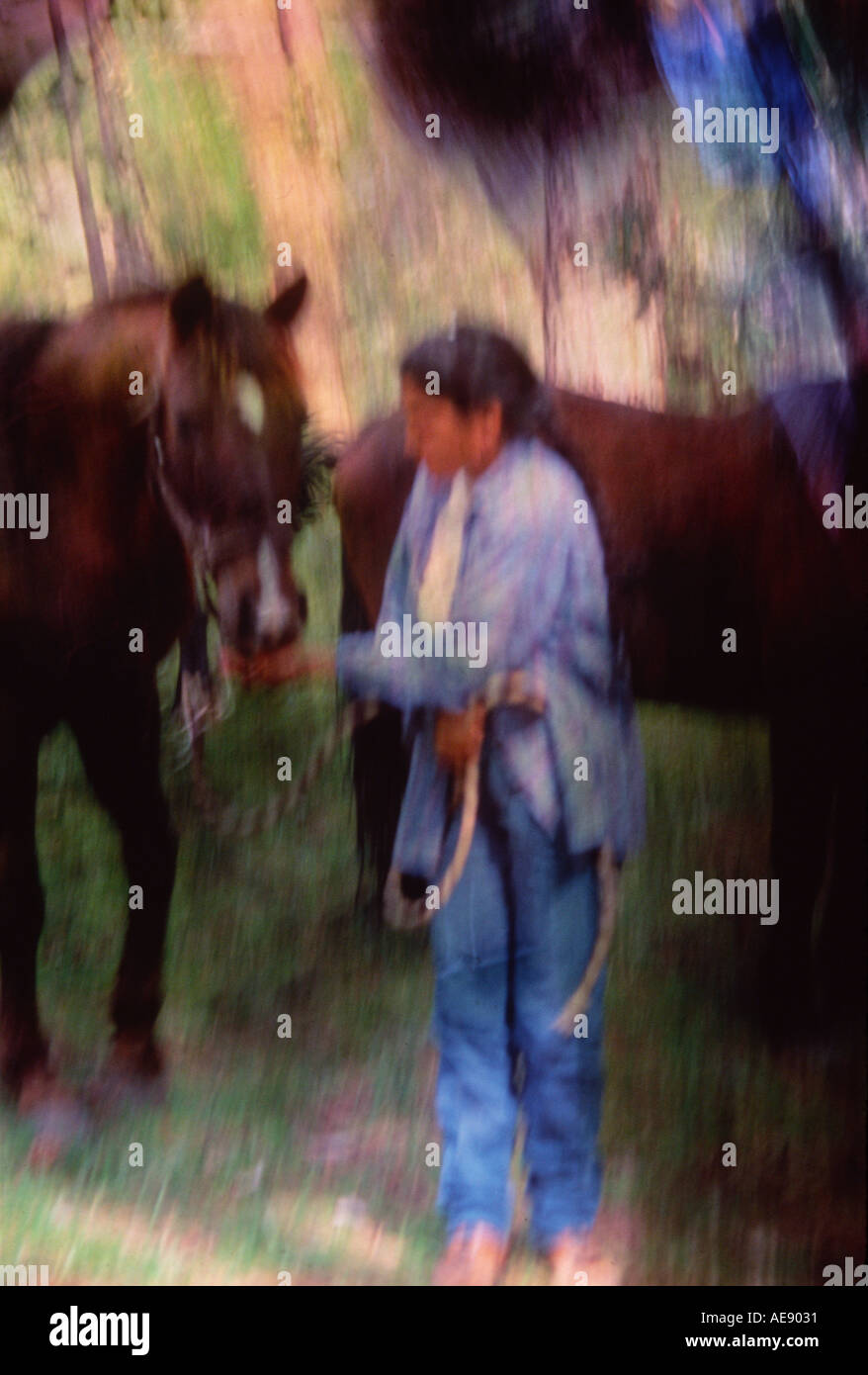 Native American woman feeding her horse Stock Photo - Alamy
