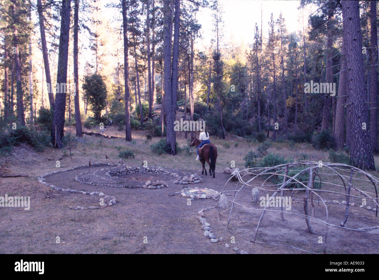 Horse and rider walking through a ritual ground in the forest Stock ...