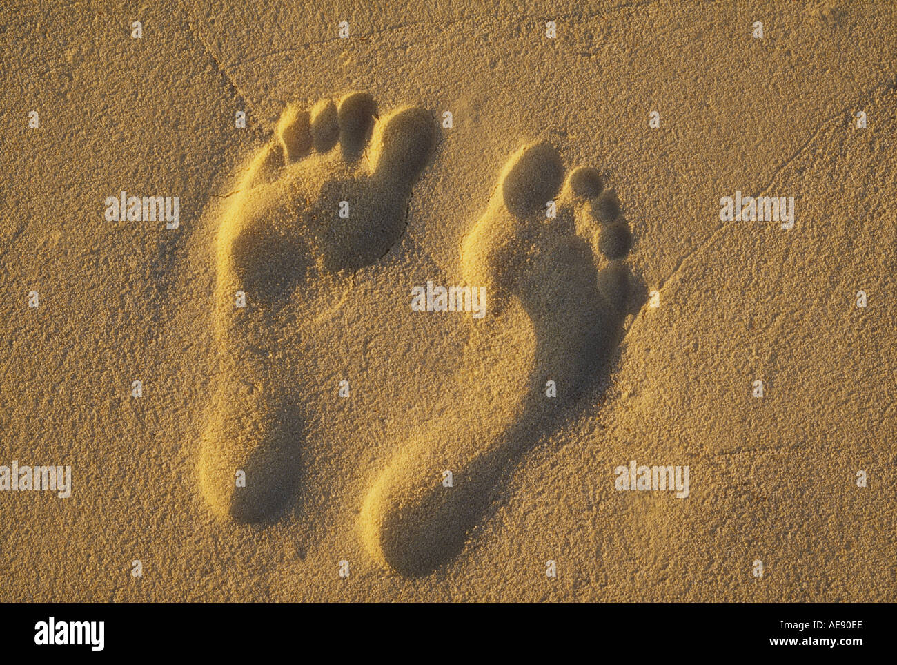 Footprints in sand Stock Photo - Alamy