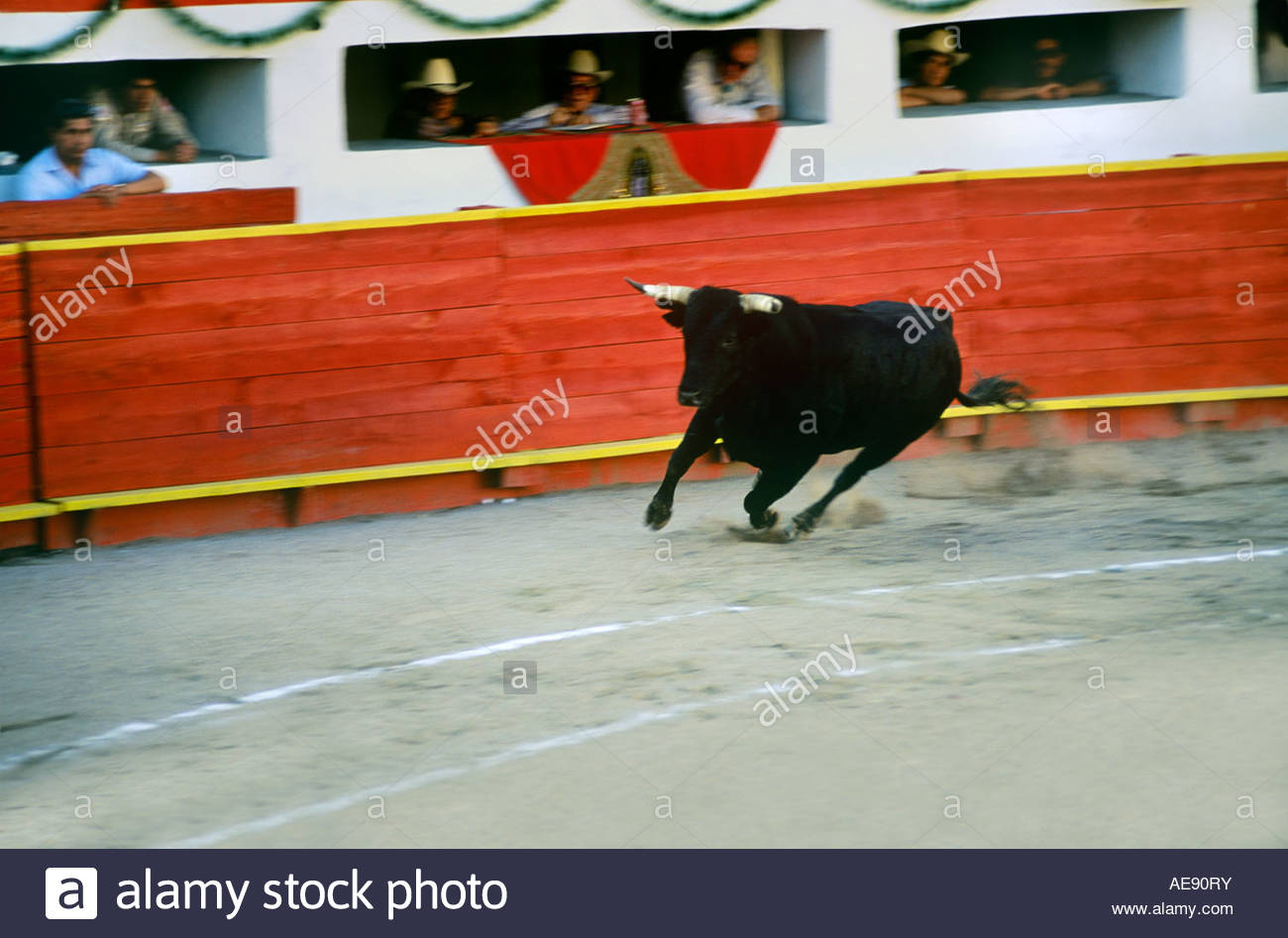 Spanish Bull Ring High Resolution Stock Photography and Images - Alamy