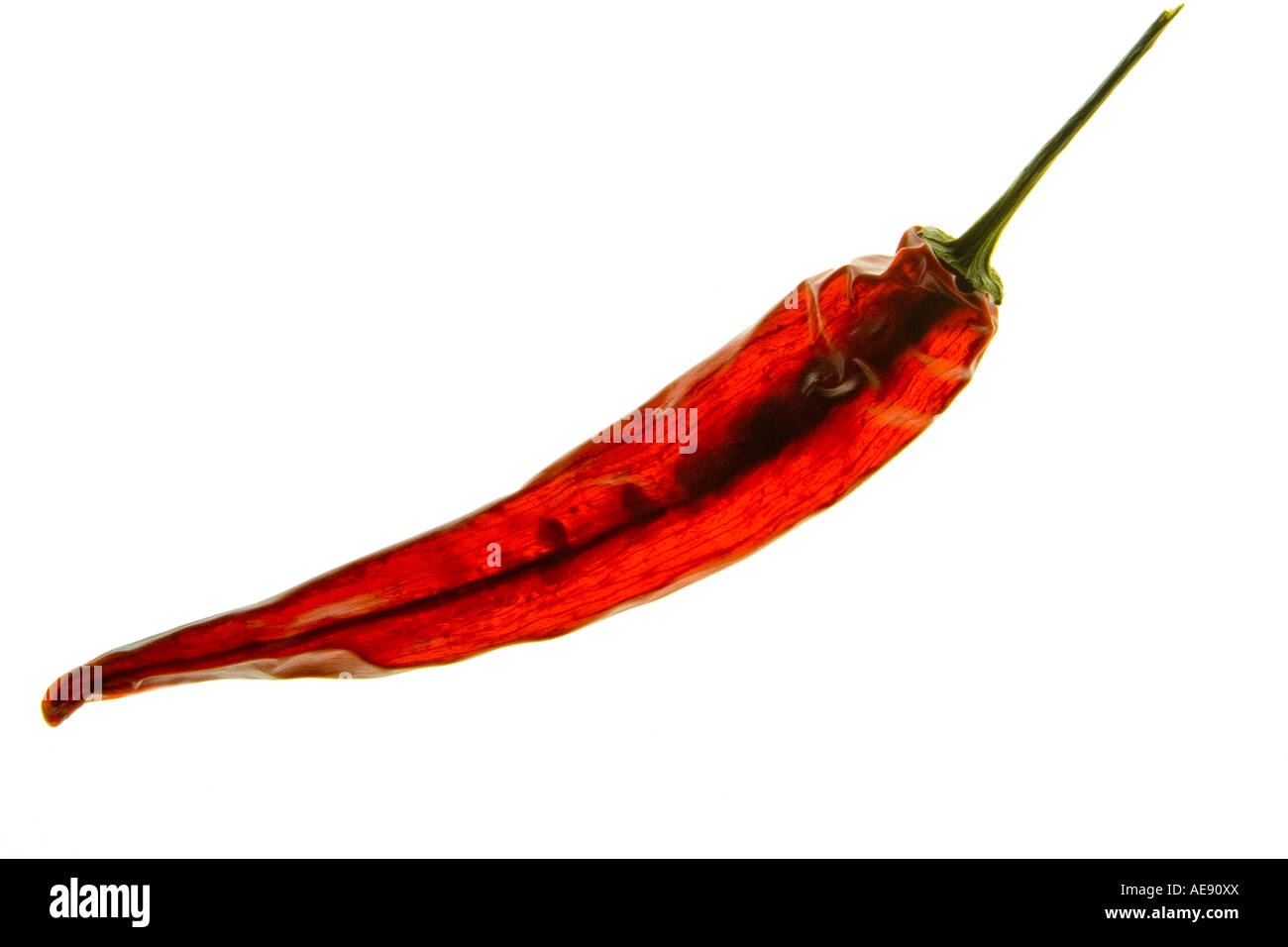 Hot chilli pepper. Isolated Stock Photo - Alamy