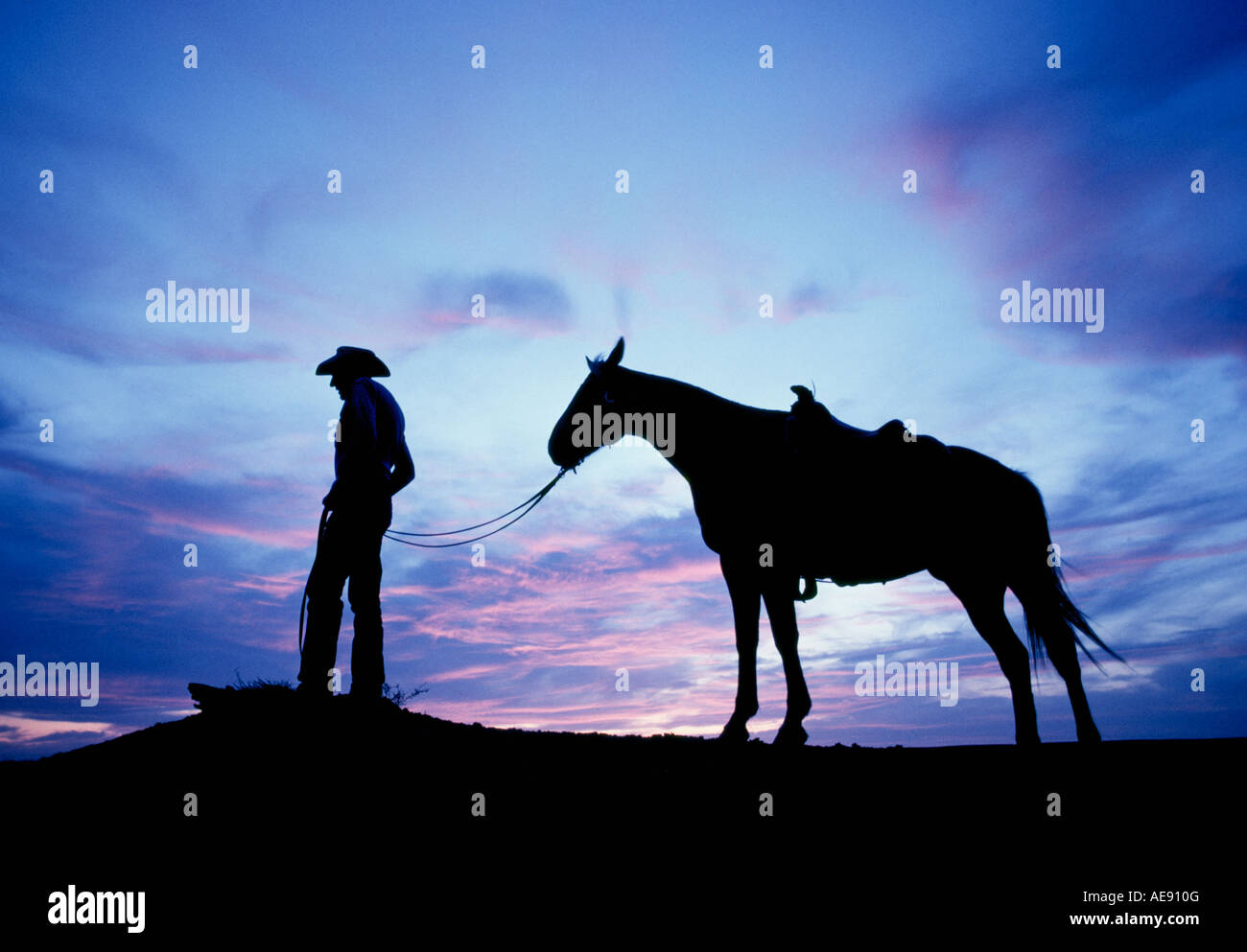 Old western cattle drive hi-res stock photography and images - Alamy
