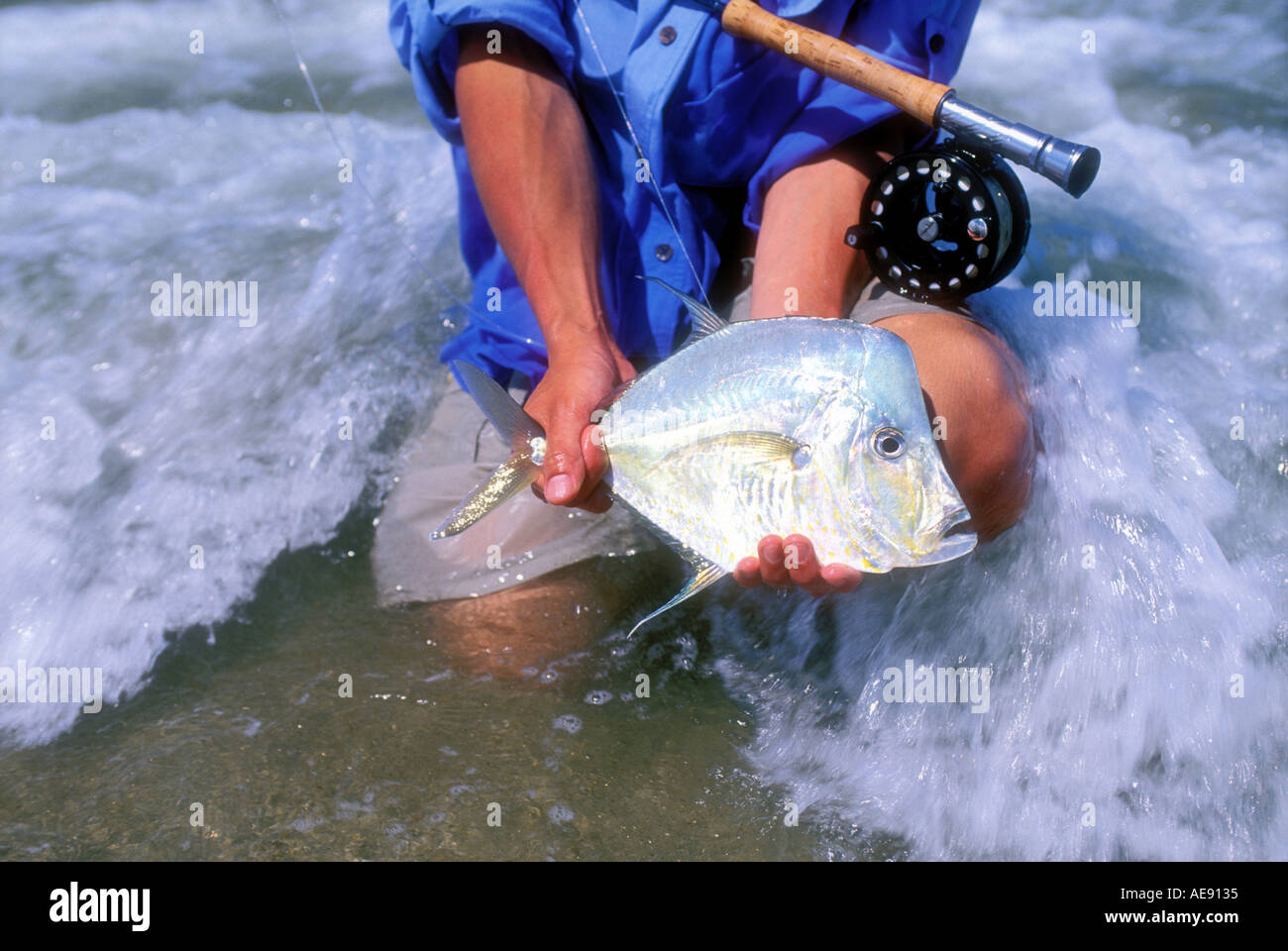 Man holding lookdown fish caught while fly fishing from the beach in ...