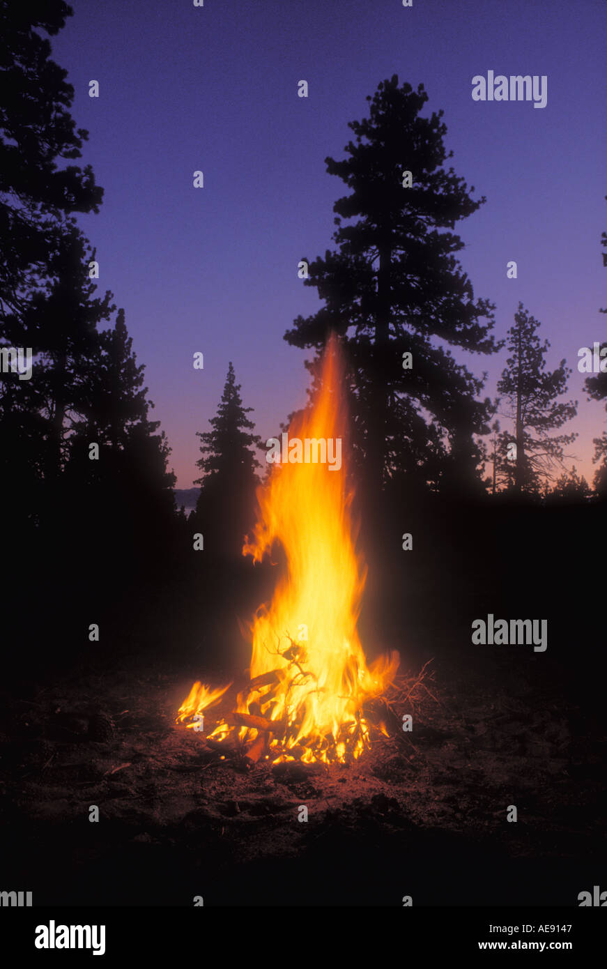 Wildfire hi-res stock photography and images - Alamy