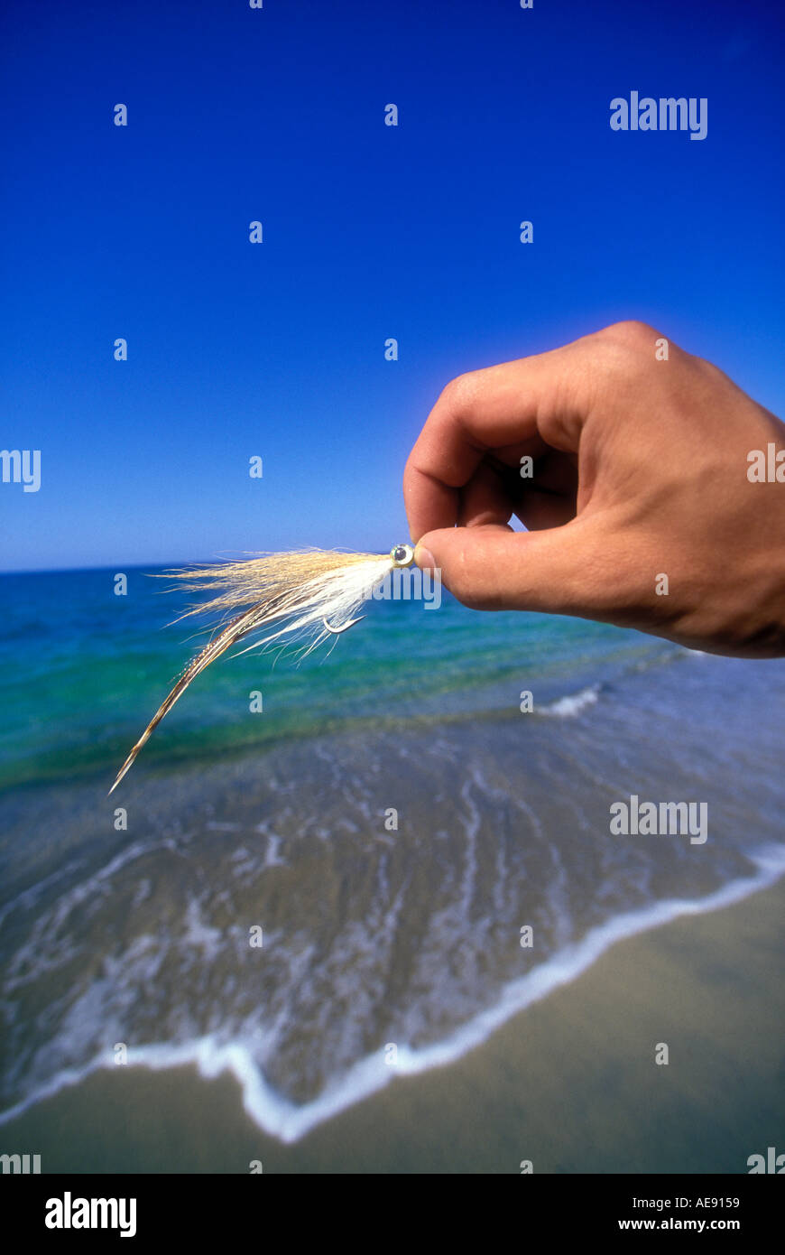 Man s hand holding fly used for fly fishing with ocean in background ...