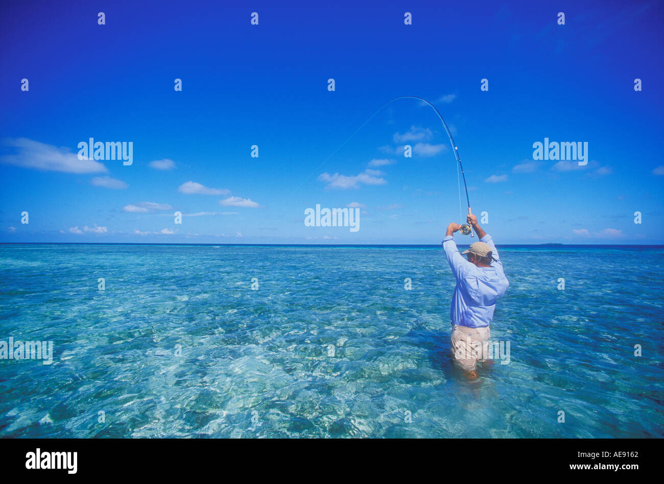 Man fly fishing for bonefish in Belize Caribbean Model released image ...