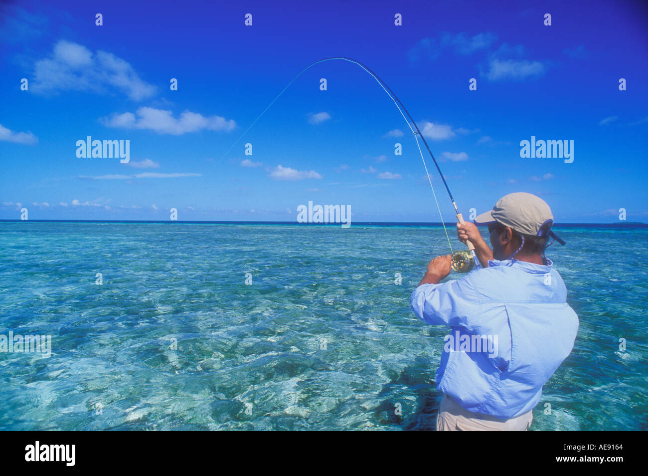 Man fly fishing for bonefish in Belize Caribbean Model released image ...