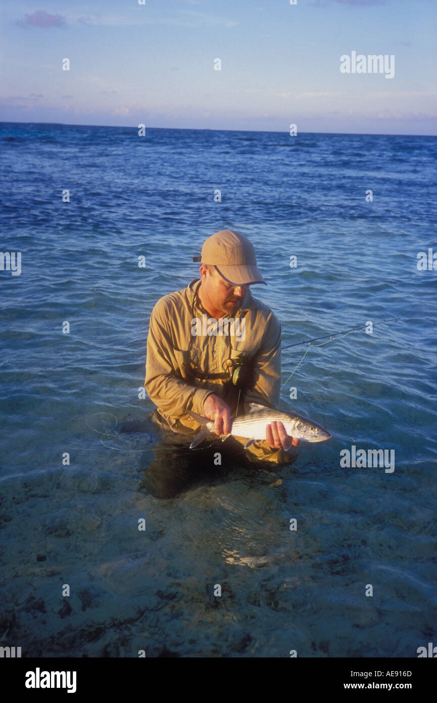 Man holding bonefish caught while fly fishing in Belize Caribbean Model ...