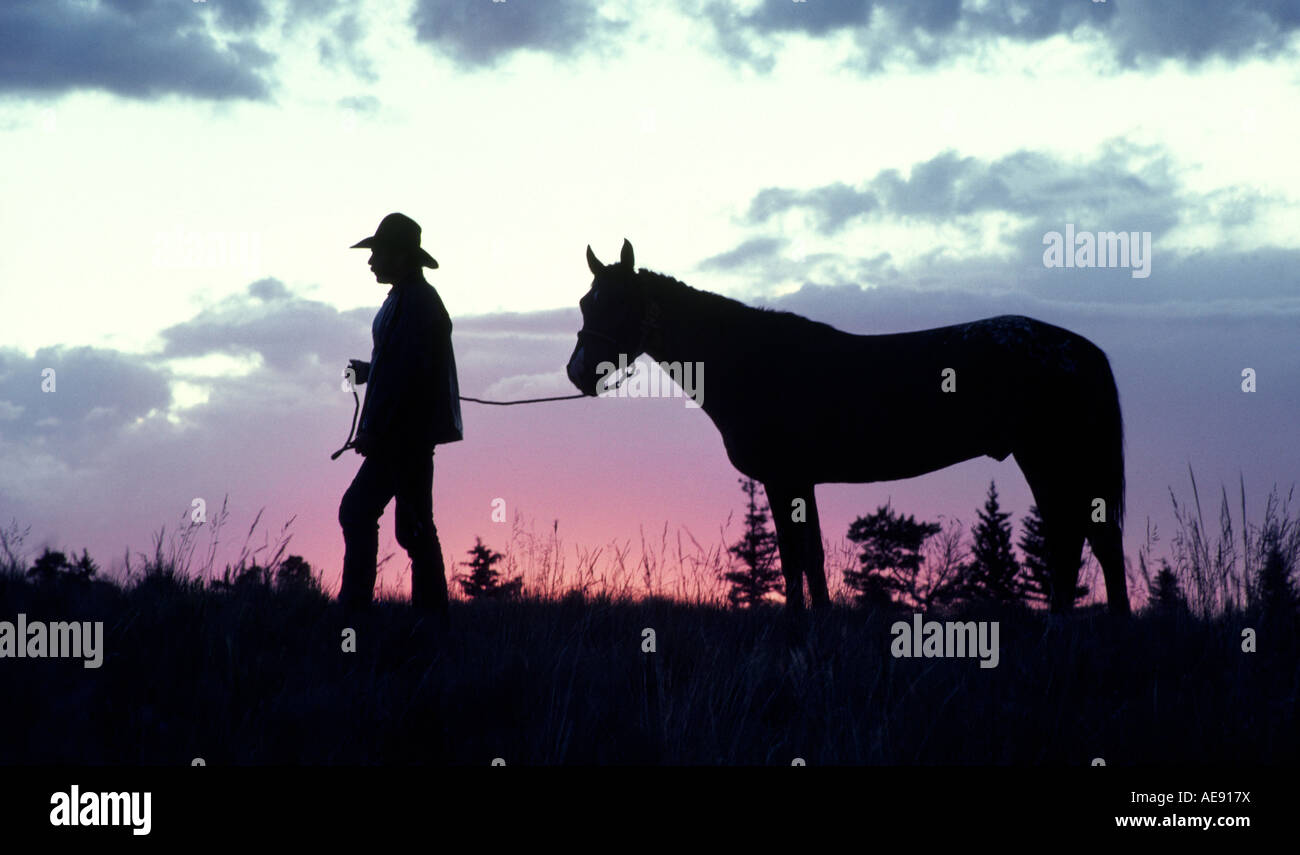 Old western cattle drive hi-res stock photography and images - Alamy