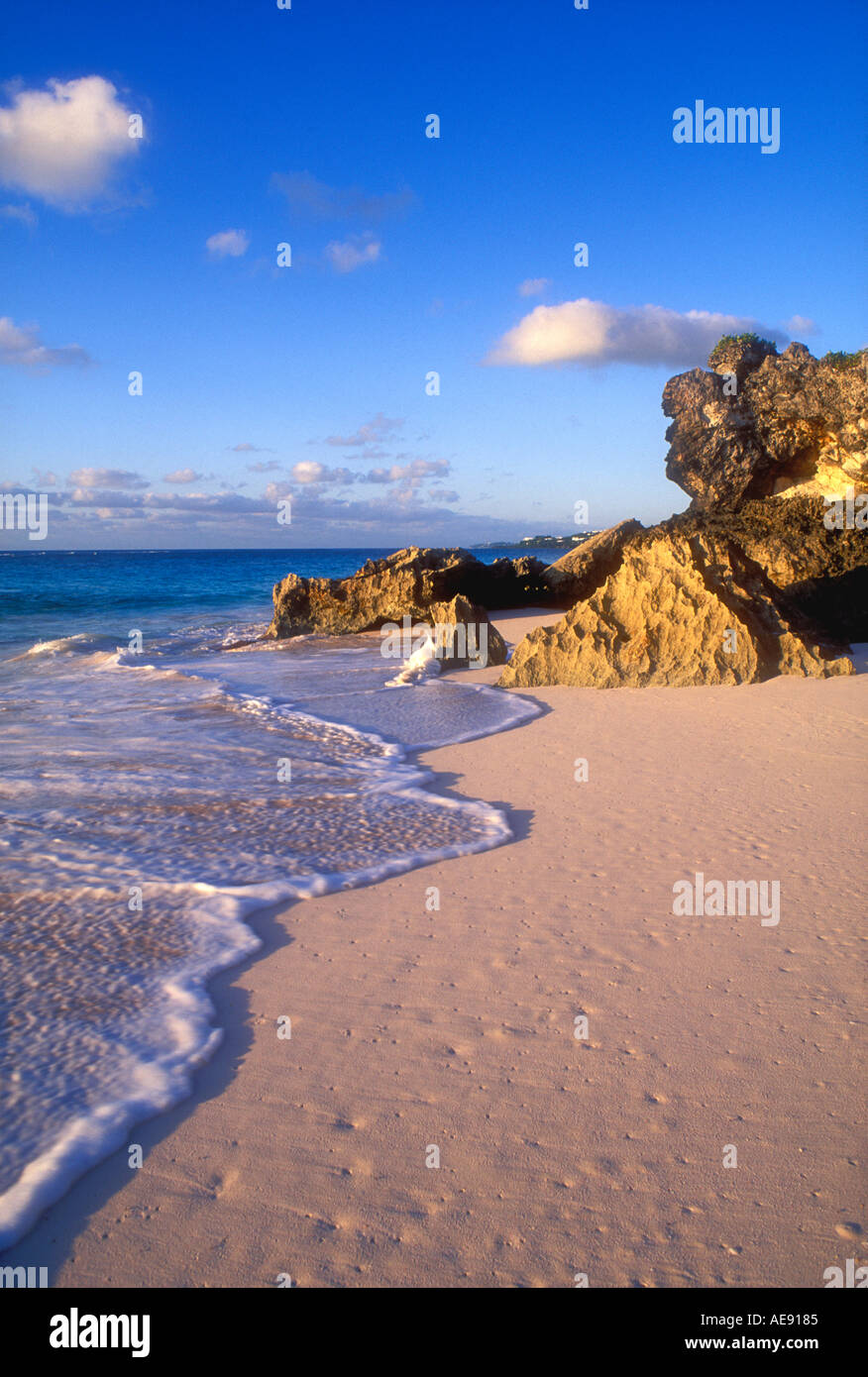 Tropical beach scene in Bermuda Stock Photo - Alamy