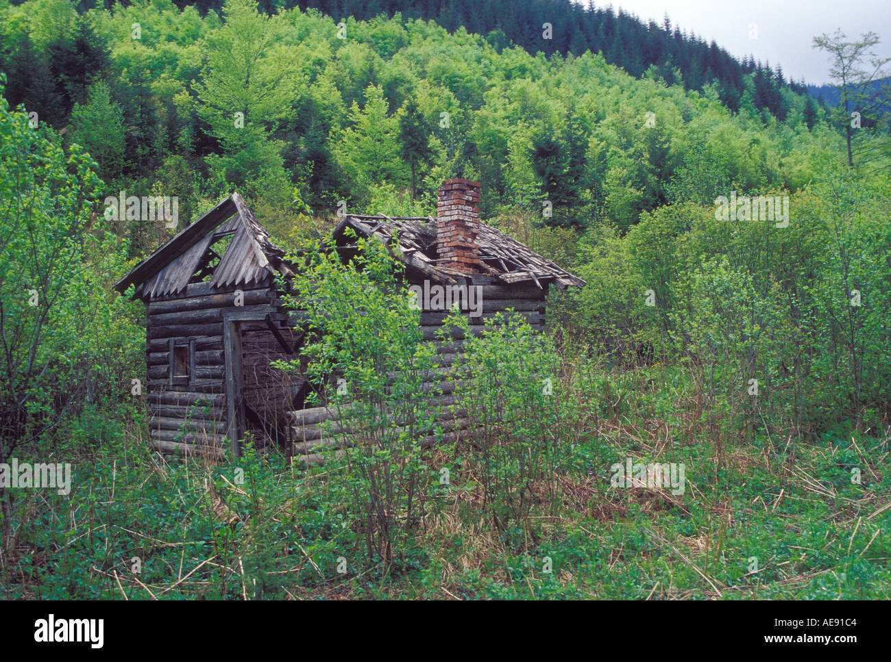 Ruined Log Hut Slovakia Stock Photo - Alamy