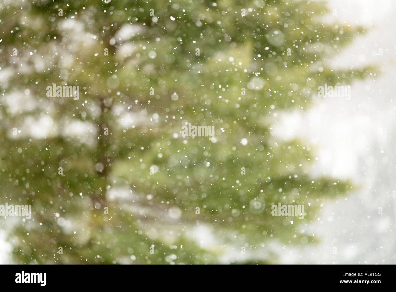 Central killarney snow hi-res stock photography and images - Alamy