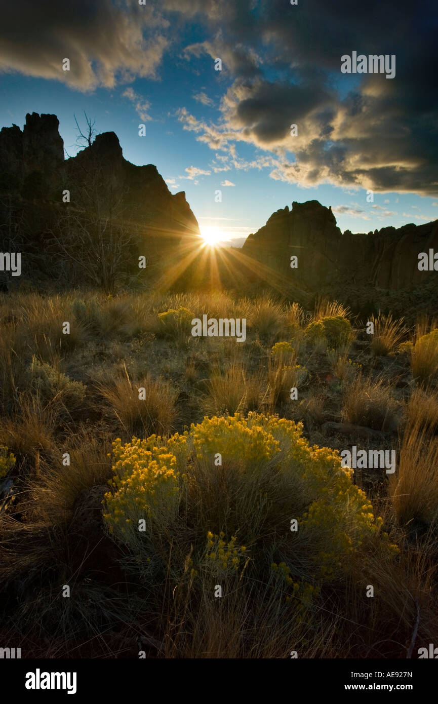 Dusk in the desert Stock Photo - Alamy
