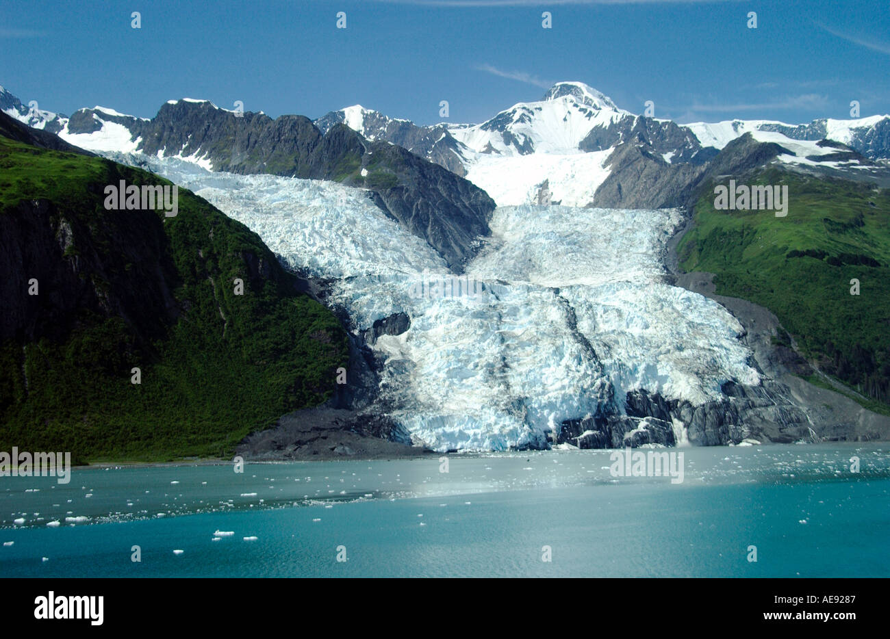 College fjord alaska hi-res stock photography and images - Alamy