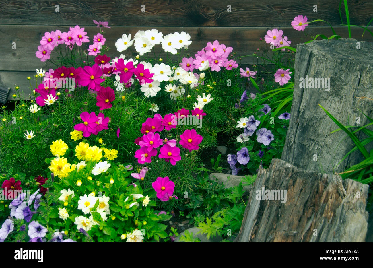 Decorative streets hi-res stock photography and images - Alamy