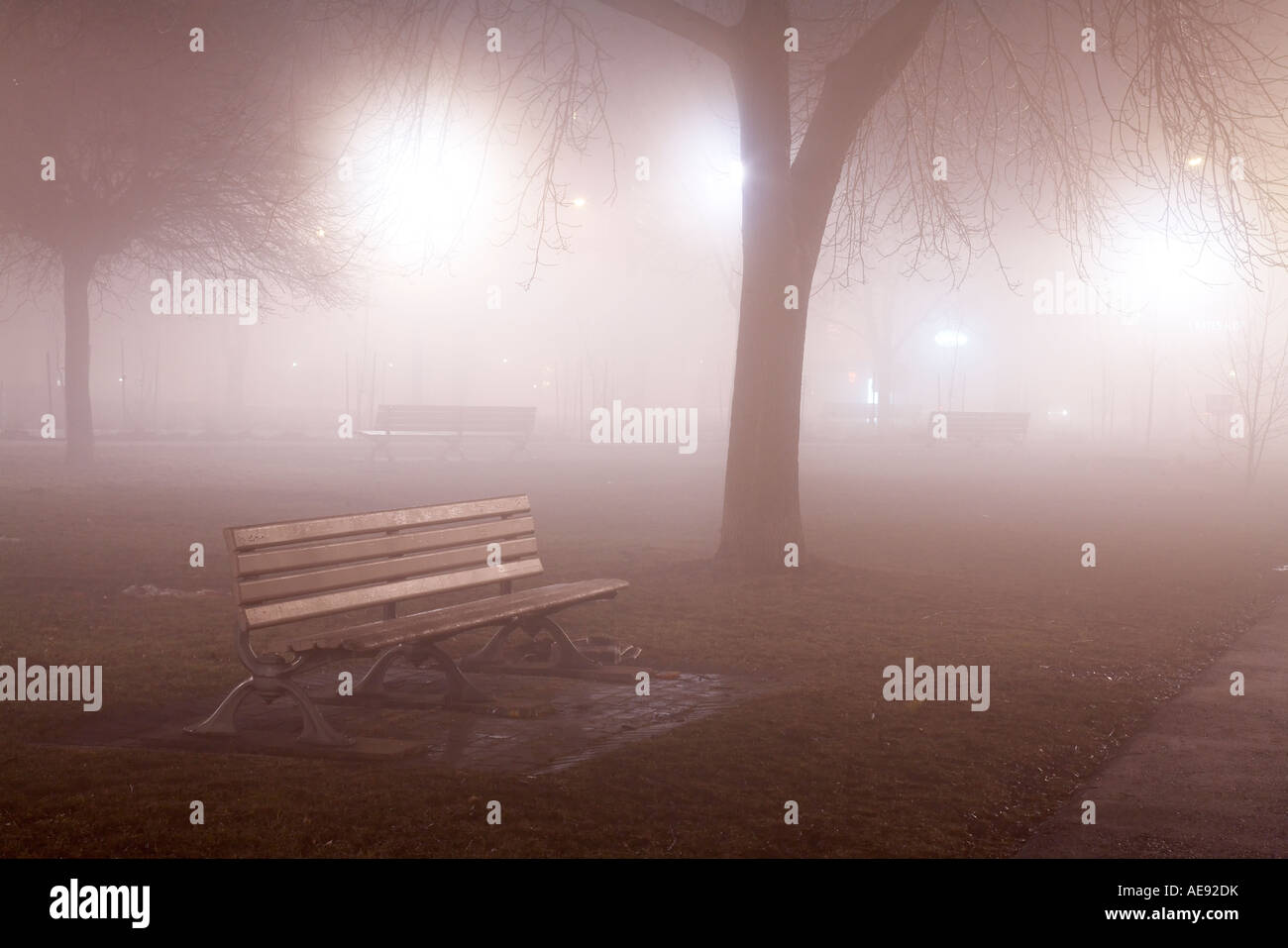 Bench in park at night Stock Photo - Alamy