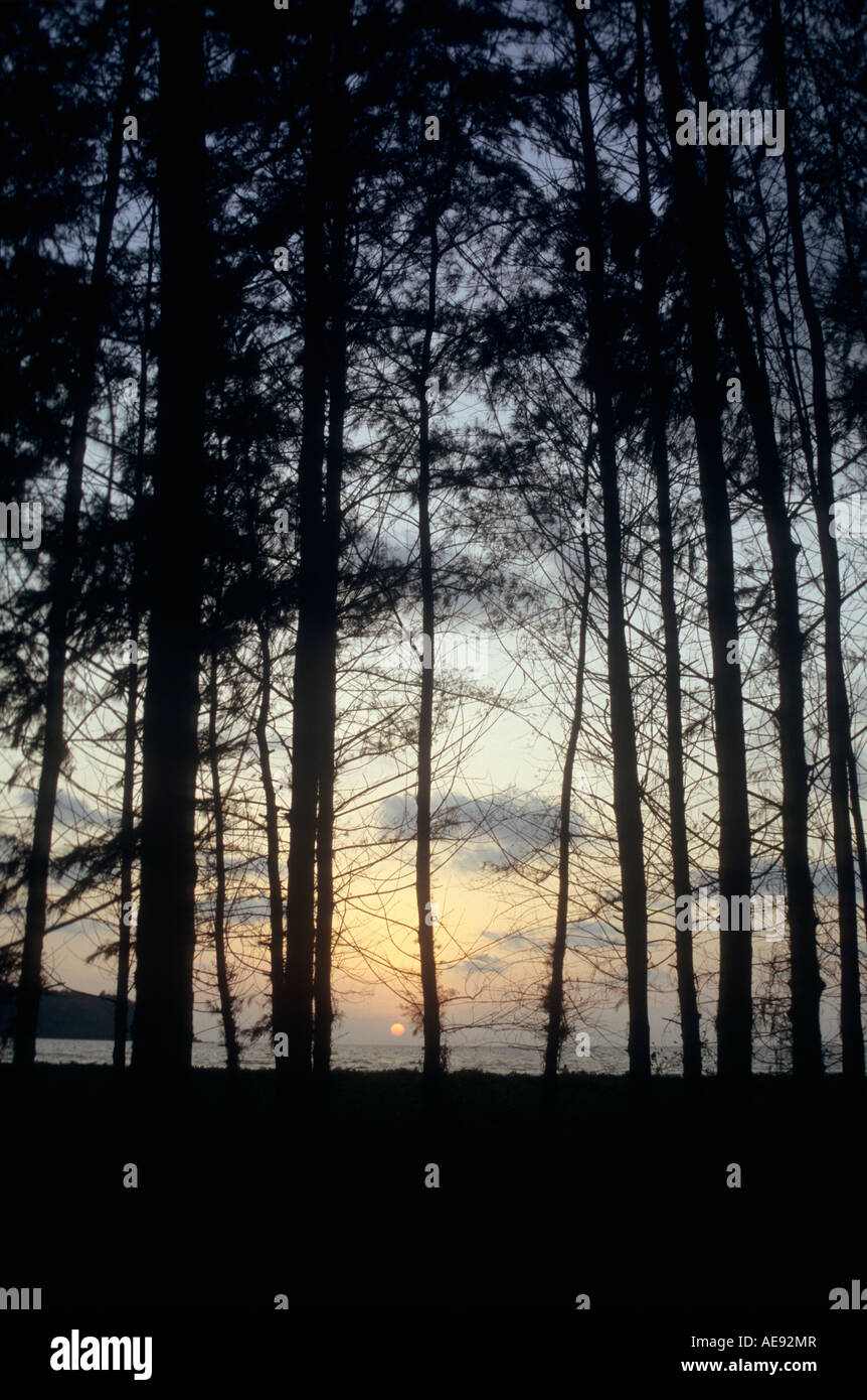 Silhoute hi-res stock photography and images - Alamy