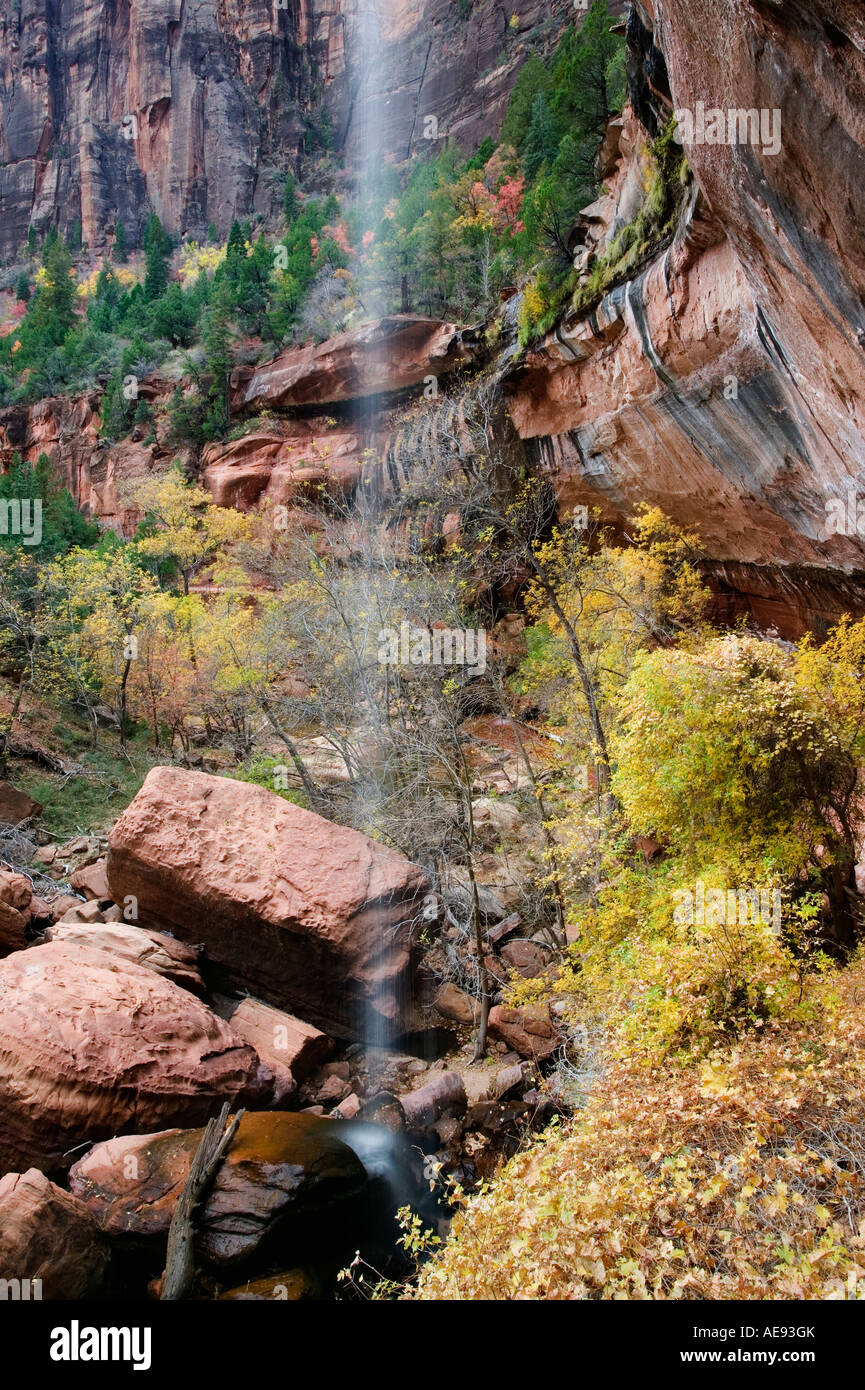 Fall colors in Zion National Park Stock Photo - Alamy