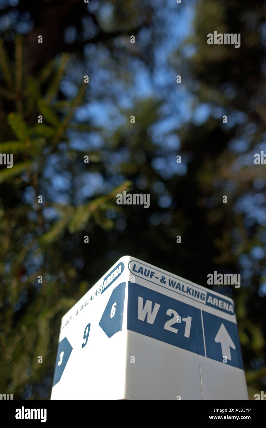 Direction sign for a walking and running area with conifers behind ...