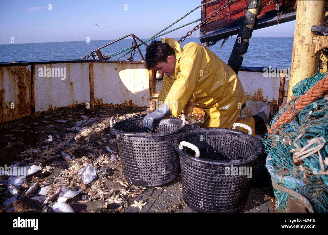 SEA FISHING ON THE RIVER THAMES ESTUARY Stock Photo - Alamy