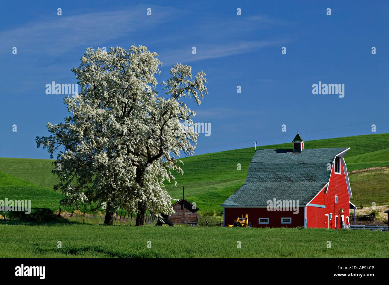 Barn and Field Stock Photo - Alamy