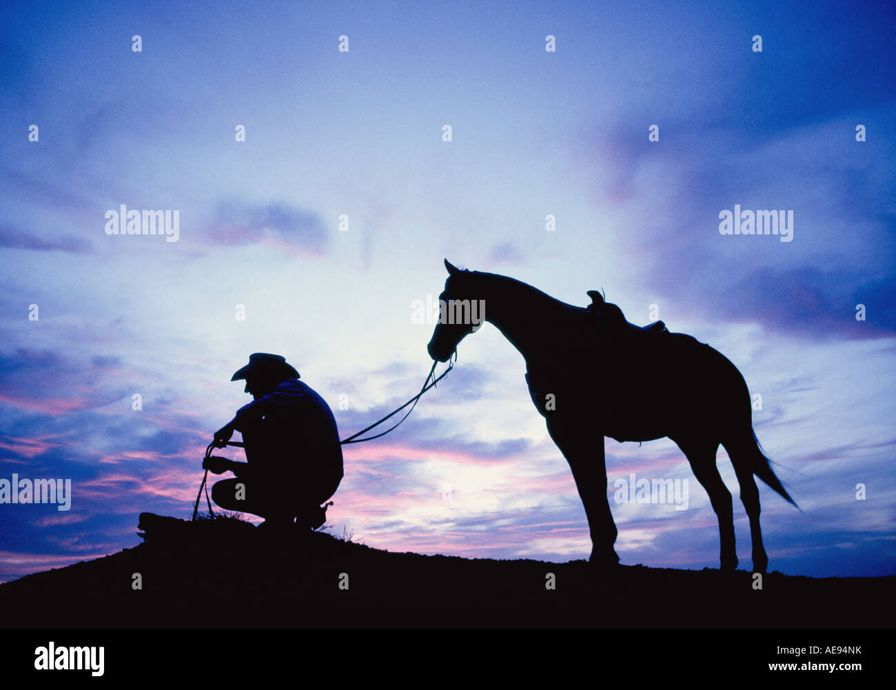 Portrait of a cowboy and his horse at sunset on a large cattle ranch ...
