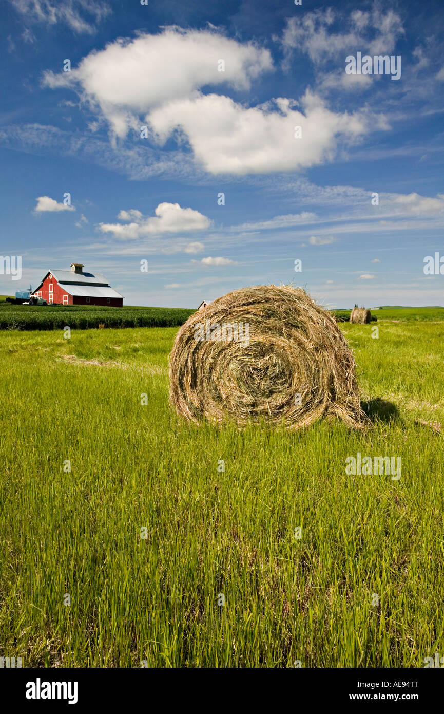 Barn and Field Stock Photo - Alamy