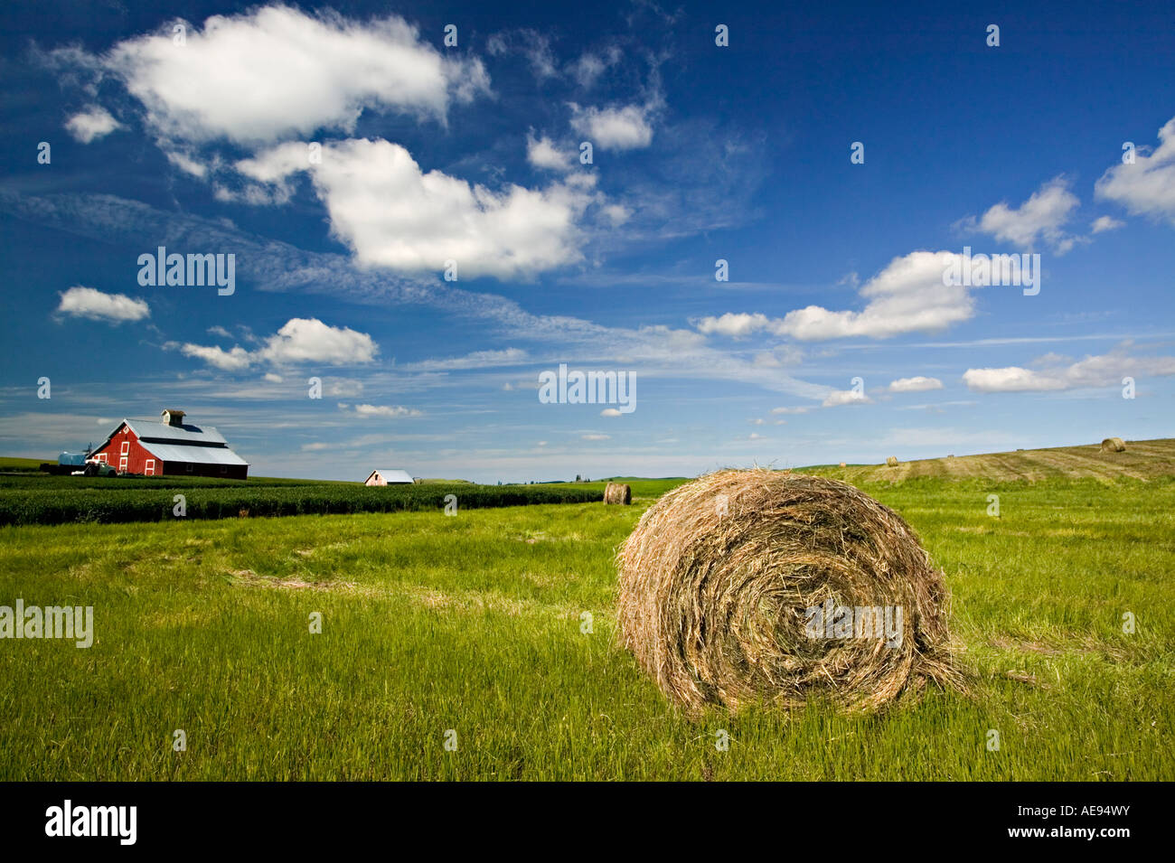 Barn and Field Stock Photo - Alamy
