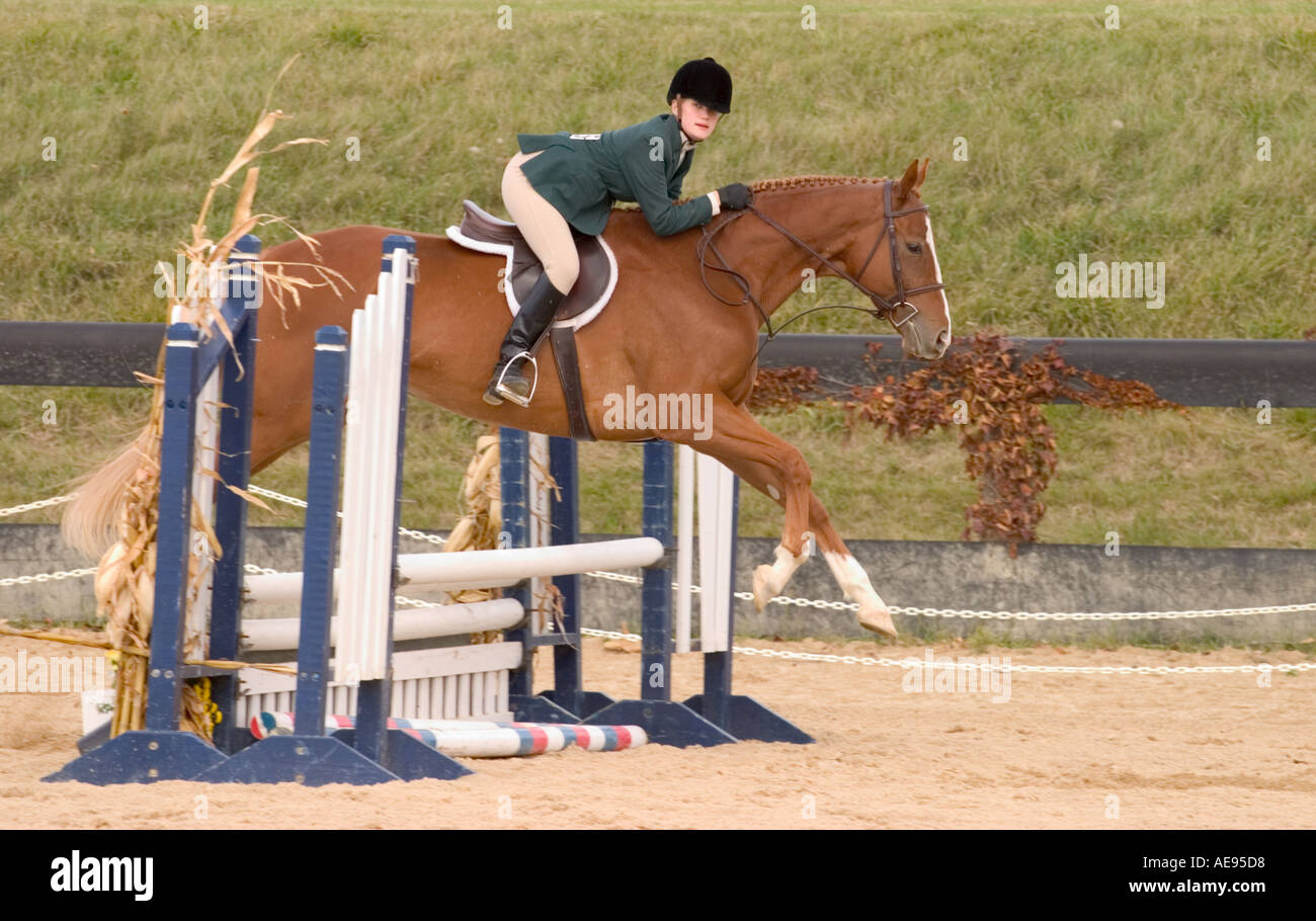 Teenage girl equestrian jumping barrier in competition Stock Photo - Alamy
