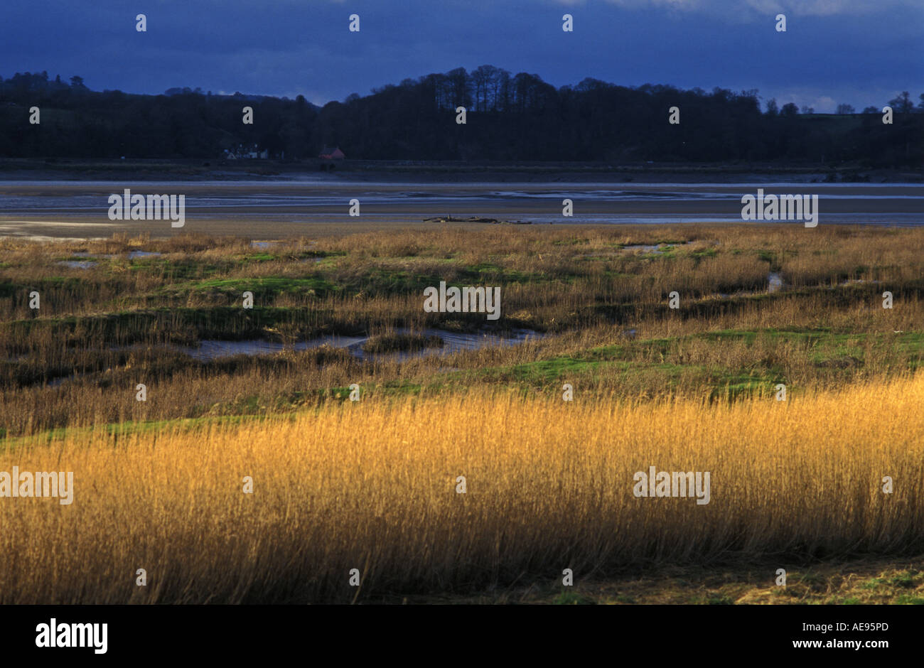 River Severn, Nr Sharpness, Glos, UK Stock Photo - Alamy