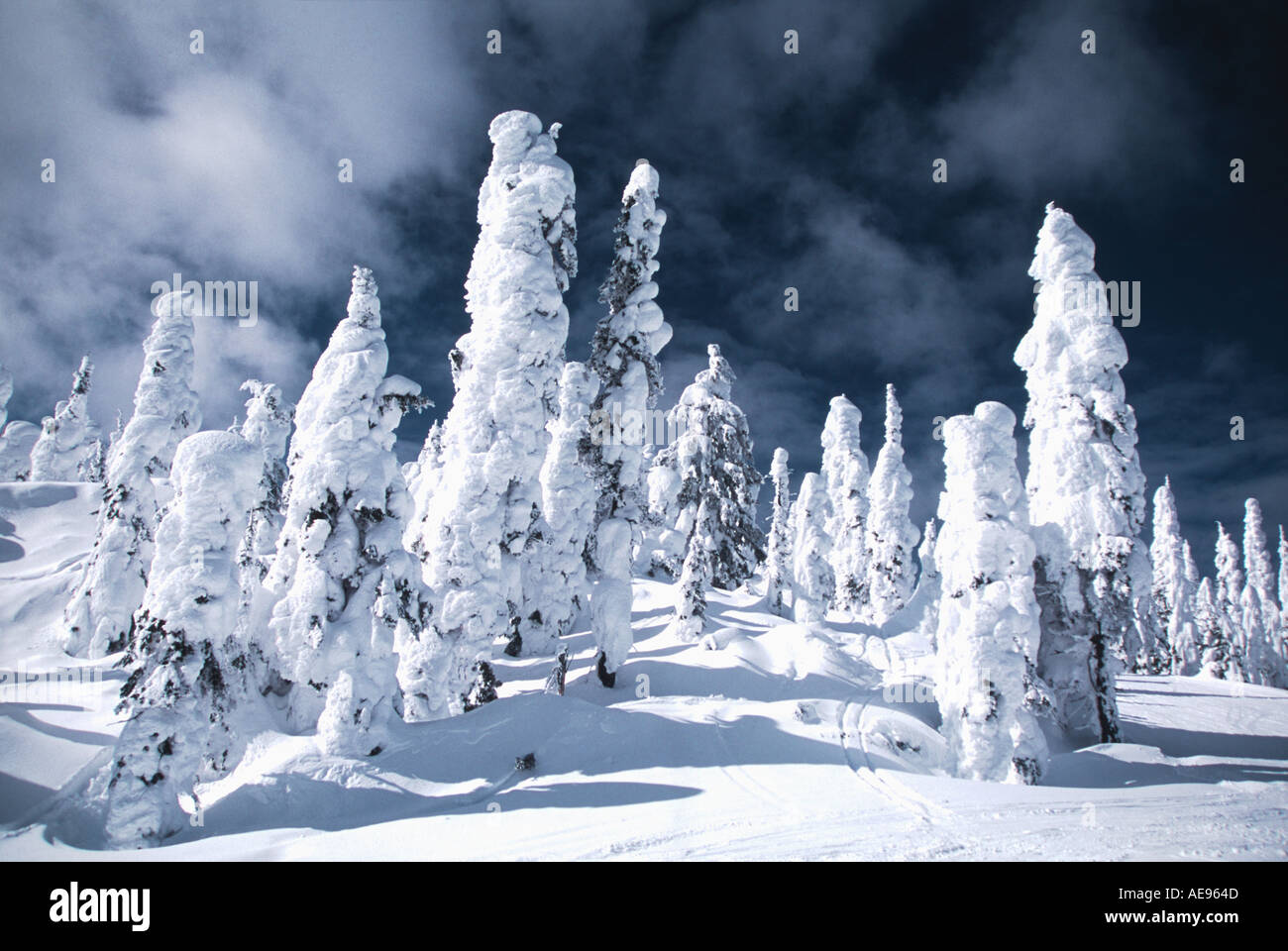 Snow ghosts hi-res stock photography and images - Alamy