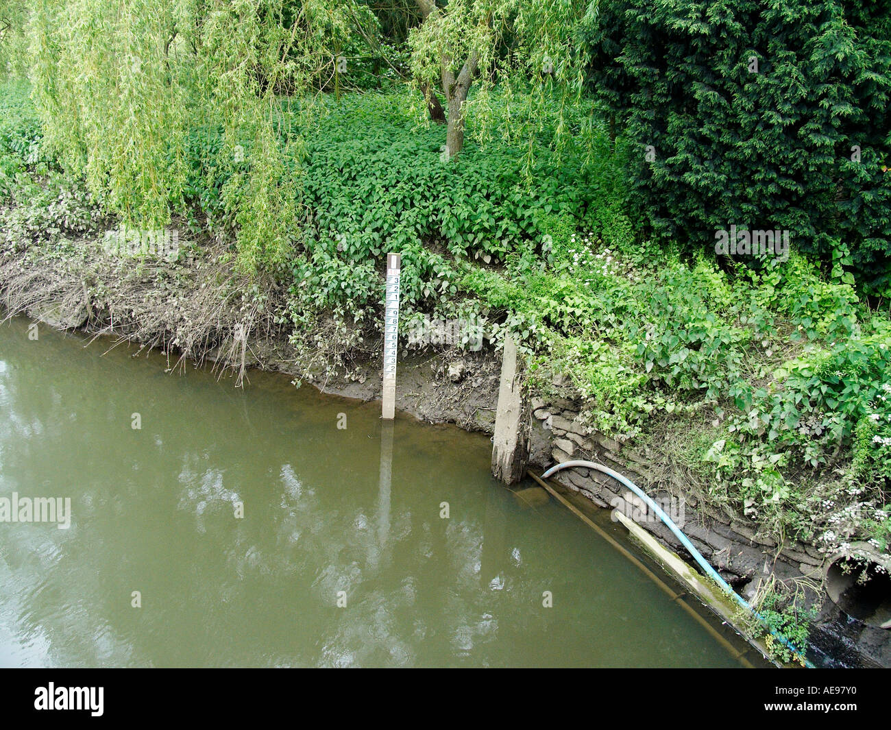Low water levels on the river mole surrey Stock Photo - Alamy