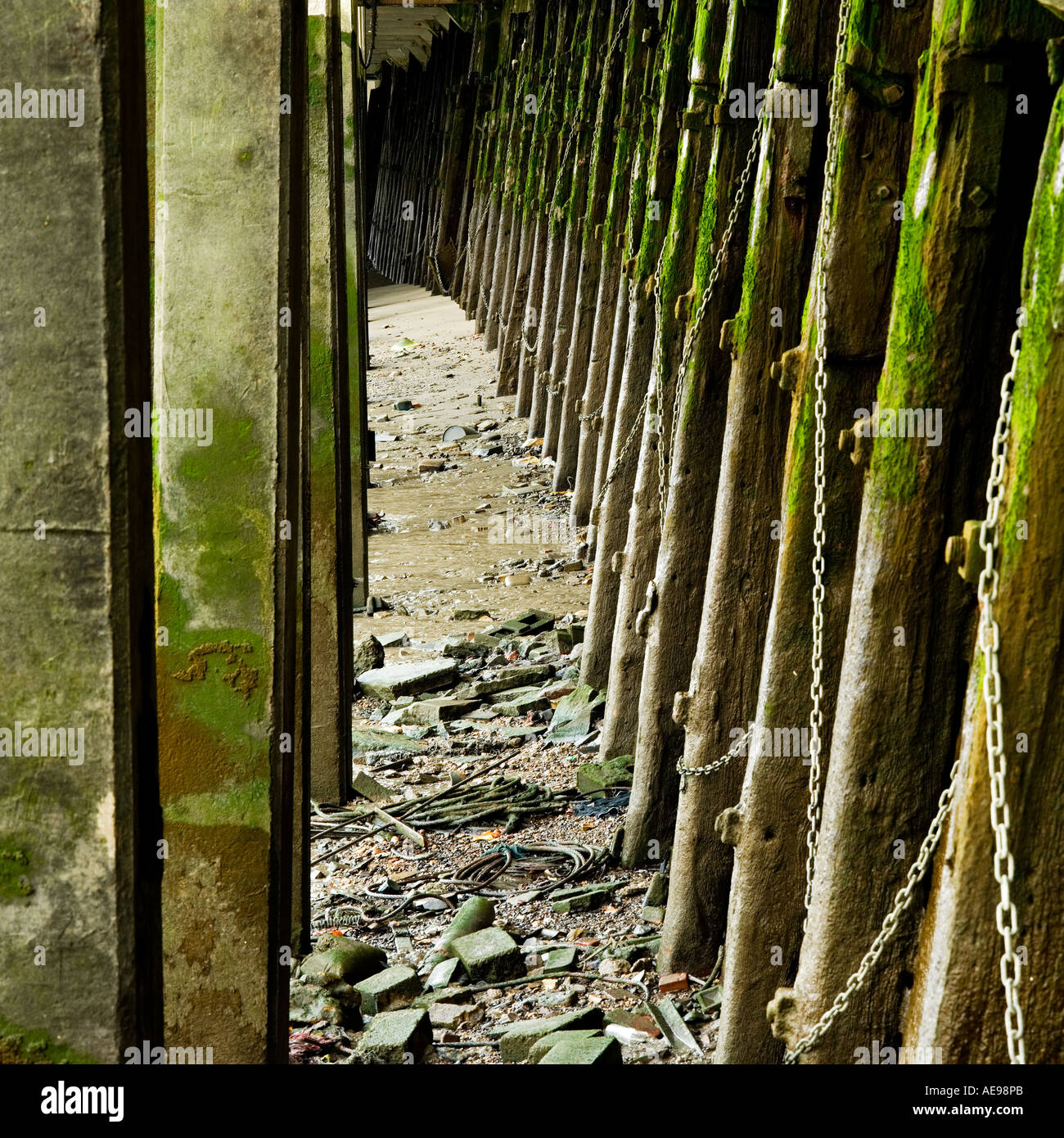 Thames river wooden supports at low tide Stock Photo - Alamy