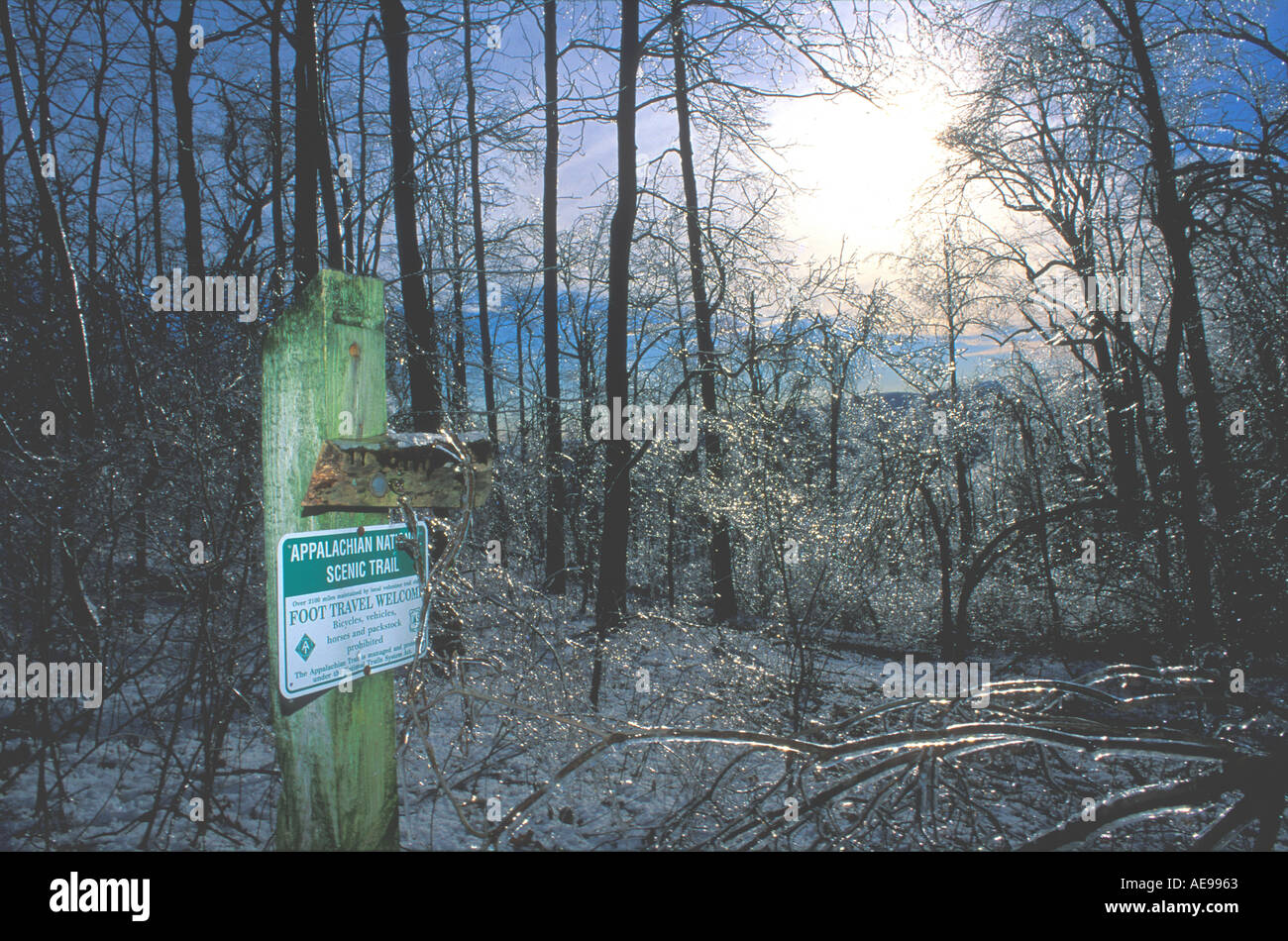 Appalachian Trail sign in ice storm near Springer Mountain Georgia ...