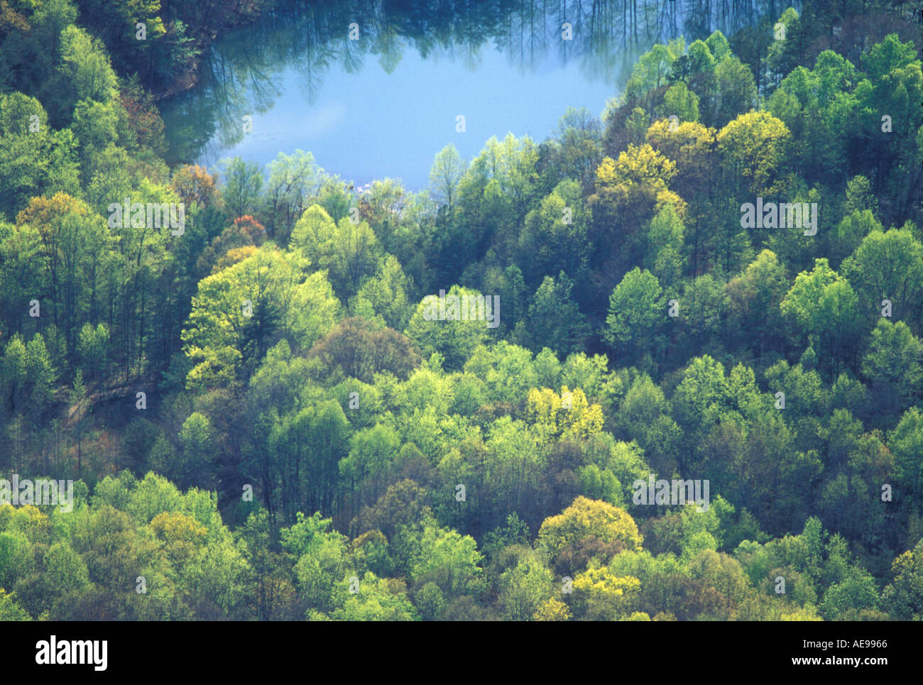Appalachian mountains aerial hi-res stock photography and images - Alamy