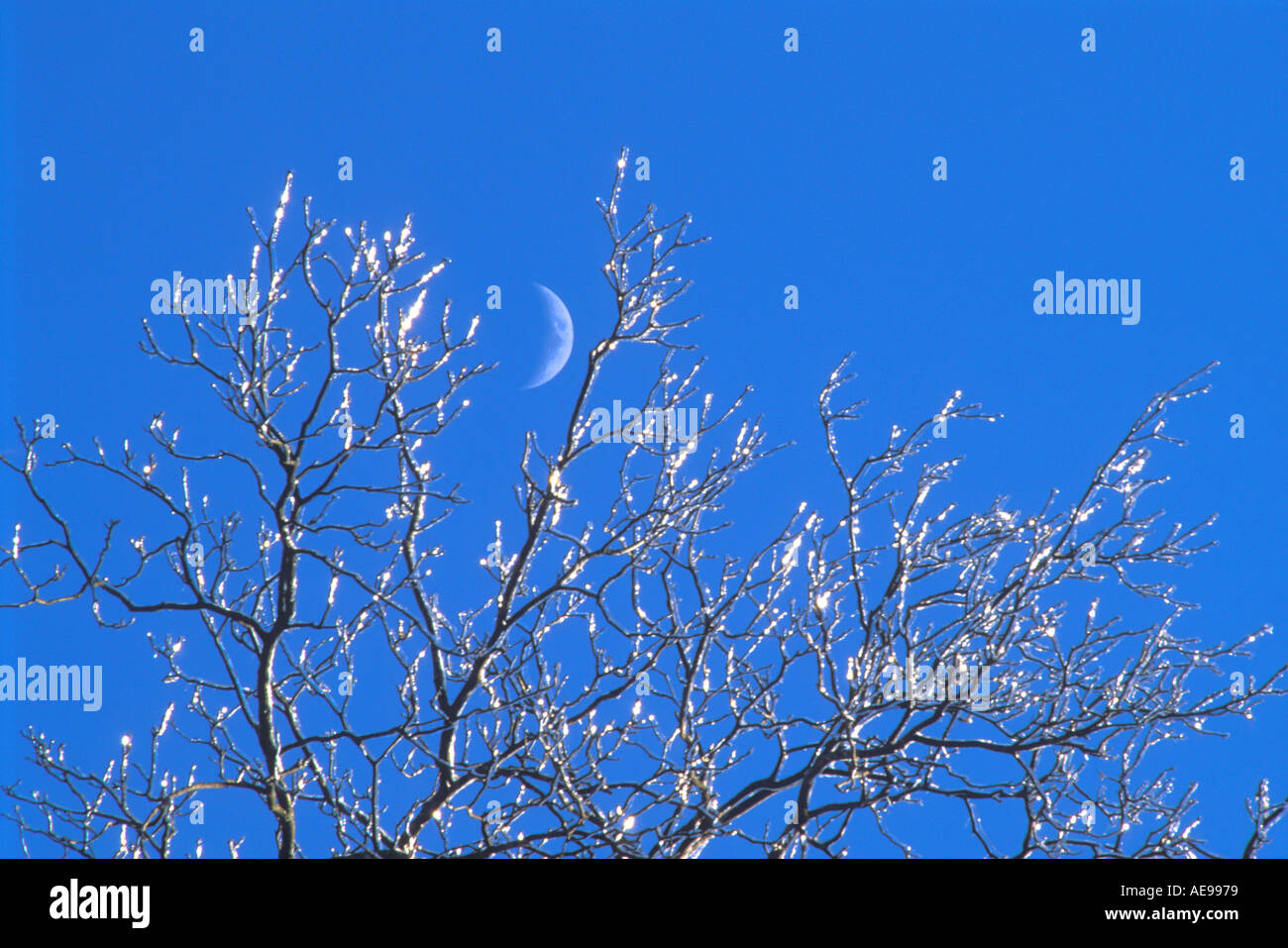 Moon gleaming hi-res stock photography and images - Alamy