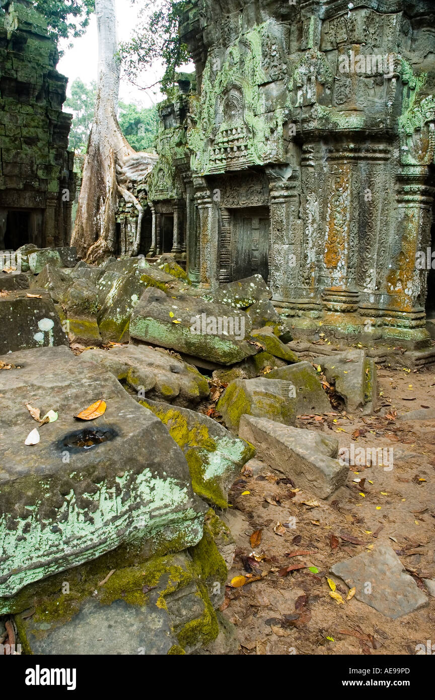 The ancient Angkorian temple of Ta Prohm in Cambodia Stock Photo - Alamy