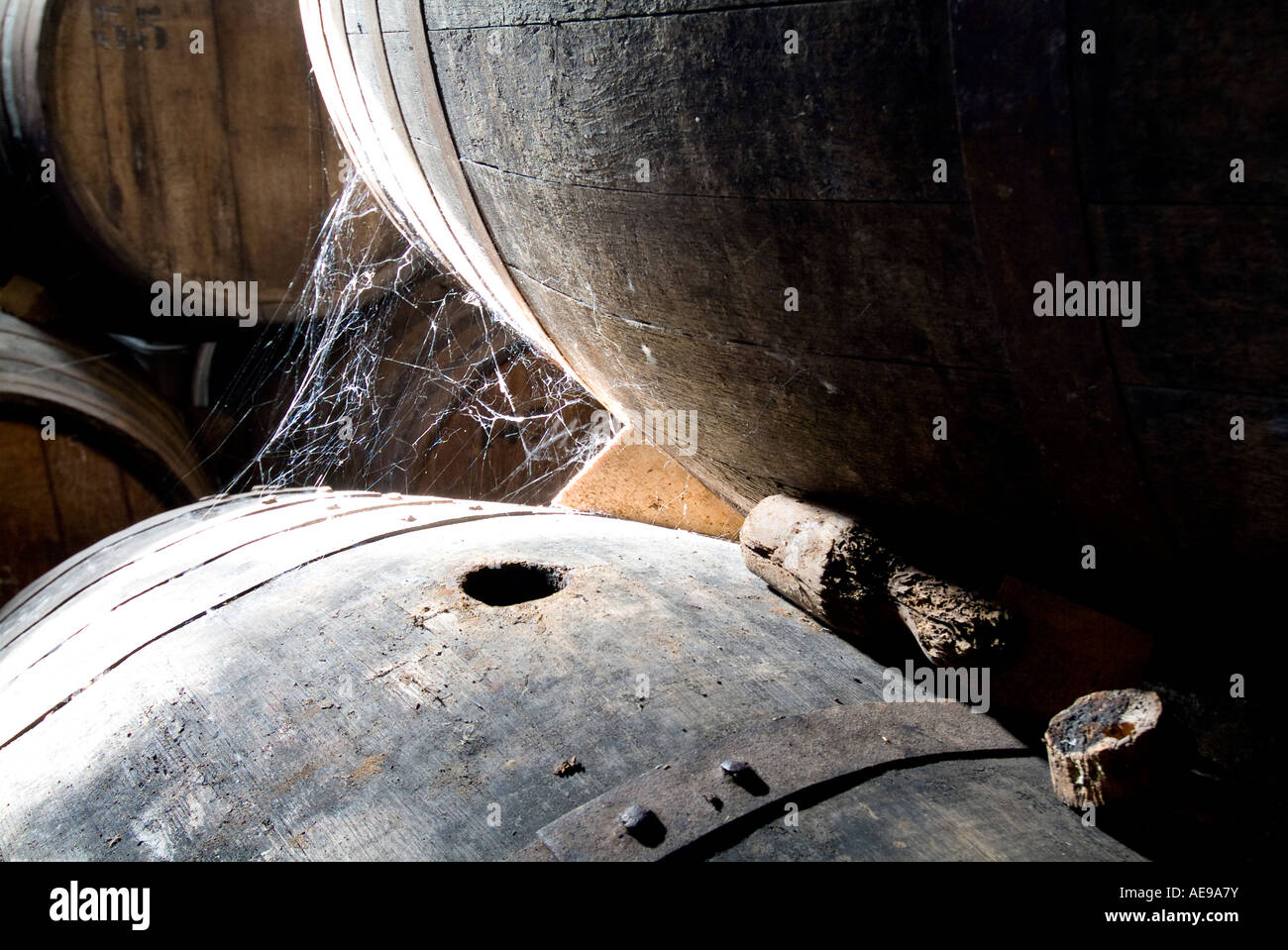 barrels with spiderweb with Malaga Dulce, Malaga Sweet Wine Stock Photo ...