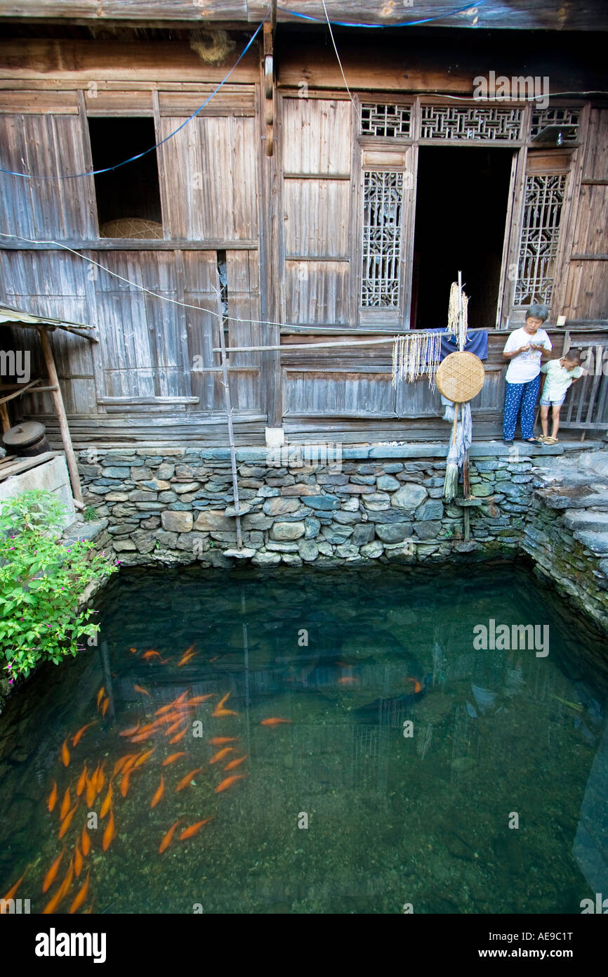 Interior courtyard koi pond likeng hi-res stock photography and images ...