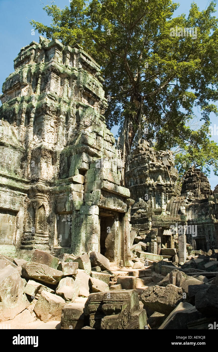 The ancient Angkorian temple of Ta Prohm near Angkor Wat in Cambodia ...