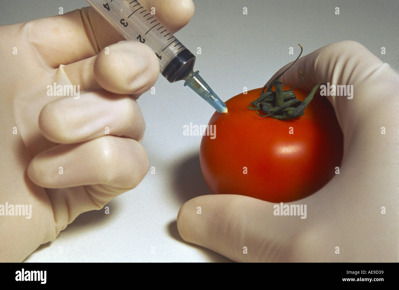 Injecting a tomato Stock Photo - Alamy