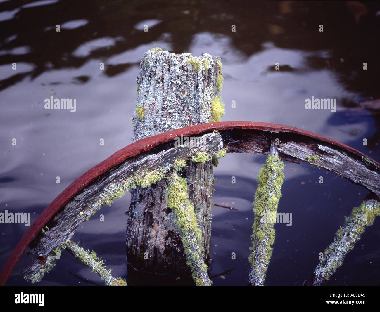 wheel old rim red rotten moss litchen green rusti Stock Photo - Alamy