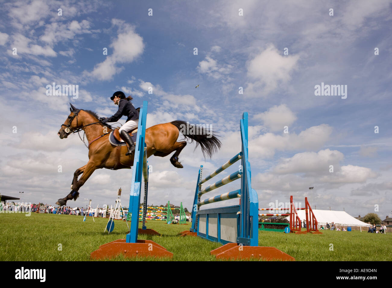 Equestrian sport horse riders show jumping competition horse jumping ...