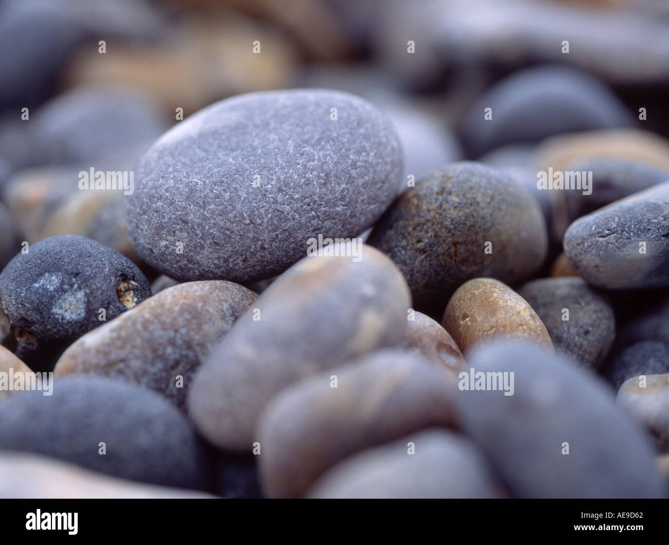 stones beach pebbles clear patten sculptural Stock Photo - Alamy