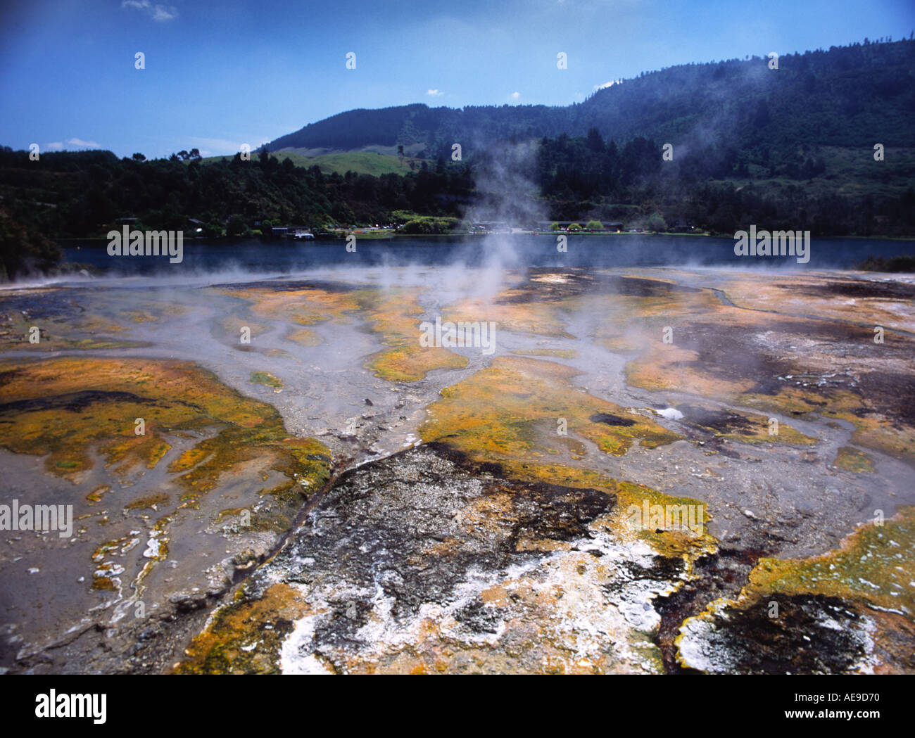 thermal activity new zealand Stock Photo - Alamy