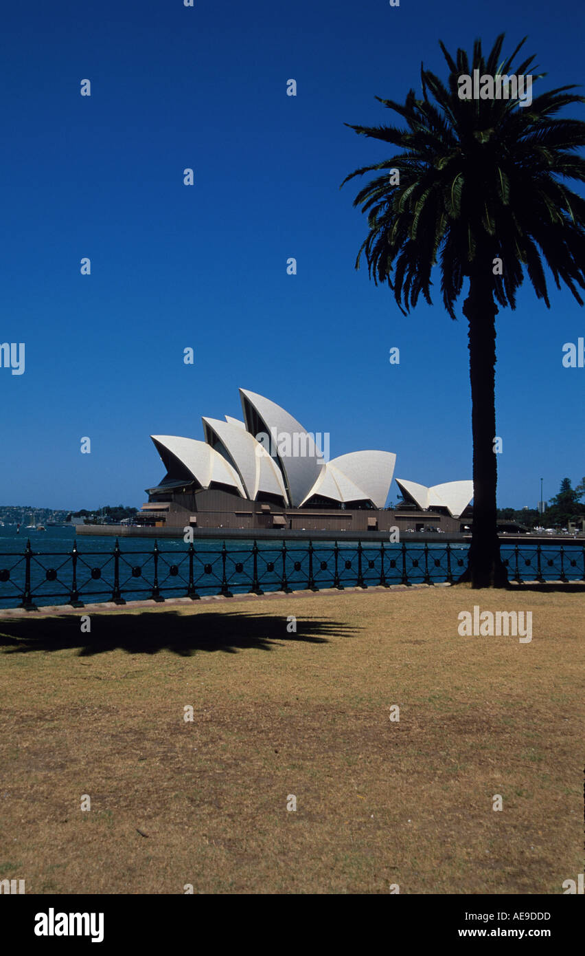 Under the Palm Sydney Opera House Stock Photo - Alamy