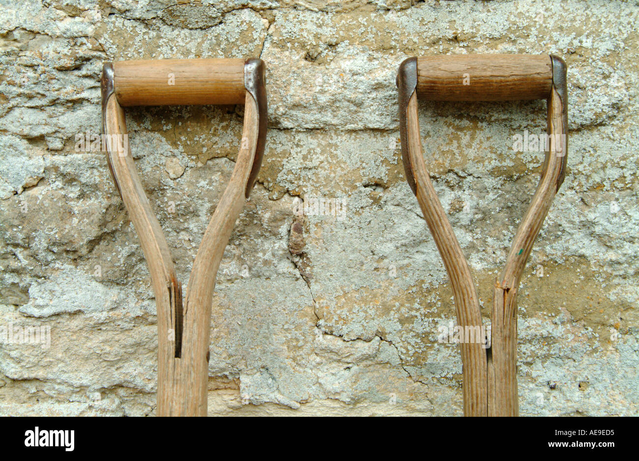 wooden garden spade handles resting on old stone wall Stock Photo - Alamy
