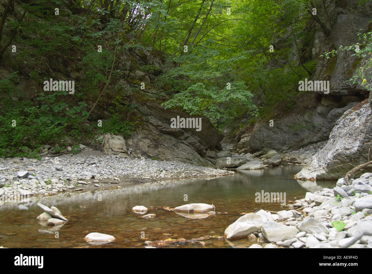 The fresh and clean Perino River Valtrebbia Italy Stock Photo - Alamy
