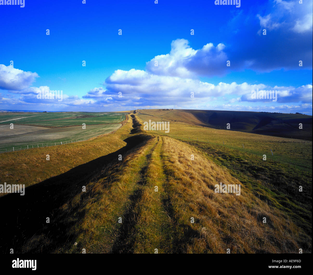 Britons and anglo saxons hi-res stock photography and images - Alamy